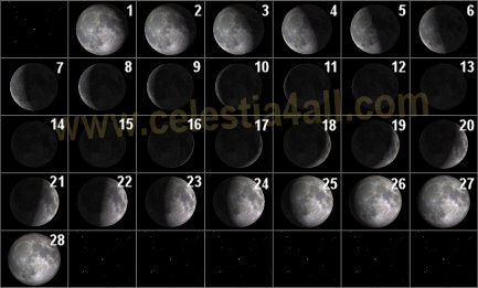 NEWS 2010 Feb - SkyMarvels.com